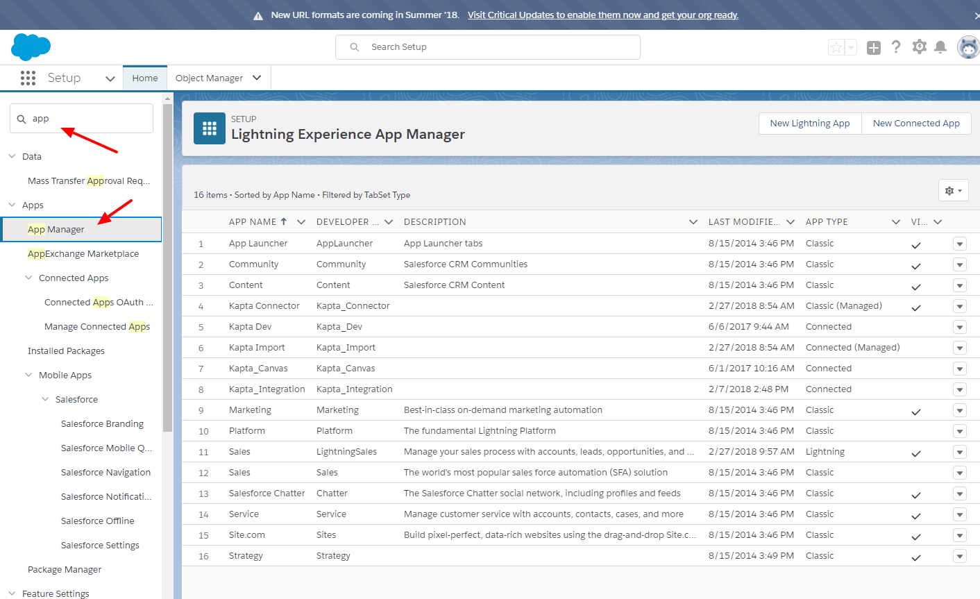 Salesforce Lightning Custom Oauth App Setup Kapta Help Center