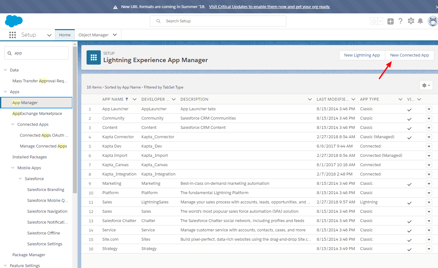 Salesforce Lightning Custom Oauth App Setup Kapta Help Center